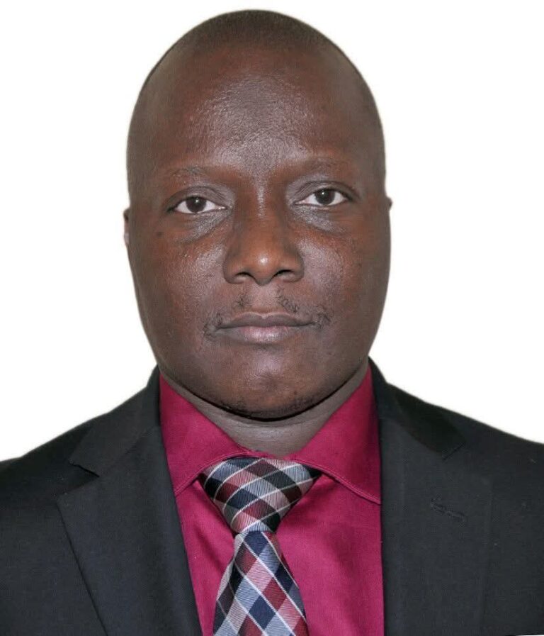 Remaniement technique au Niger: Mamane Laouali Abdou Rafa nommé ...